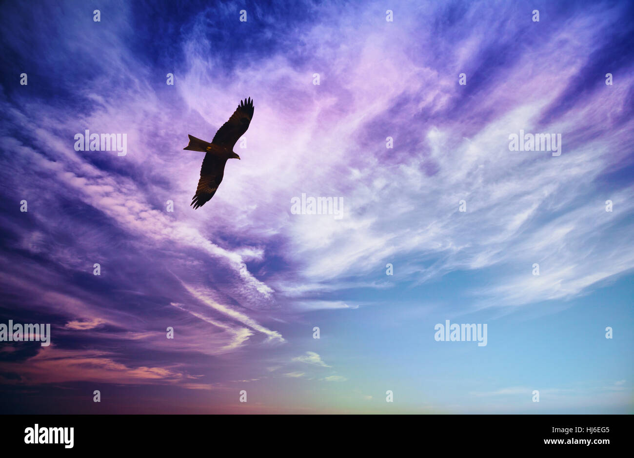 sight, view, outlook, perspective, vista, panorama, lookout, landscape ...