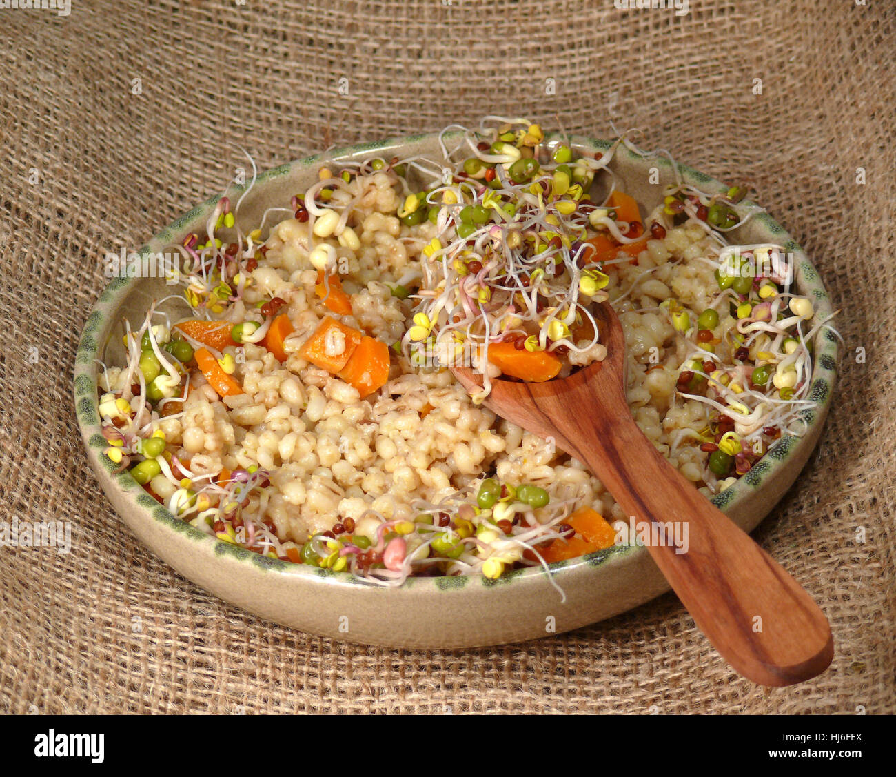 germination, barley, groats, hailstone, grain of perle barley, sprouts ...