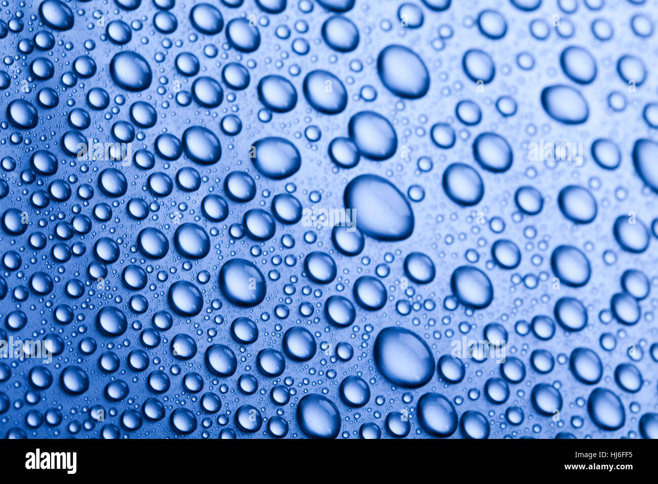 blue, wet, water drop, waterdrop, water, cold, close, blue, beautiful ...