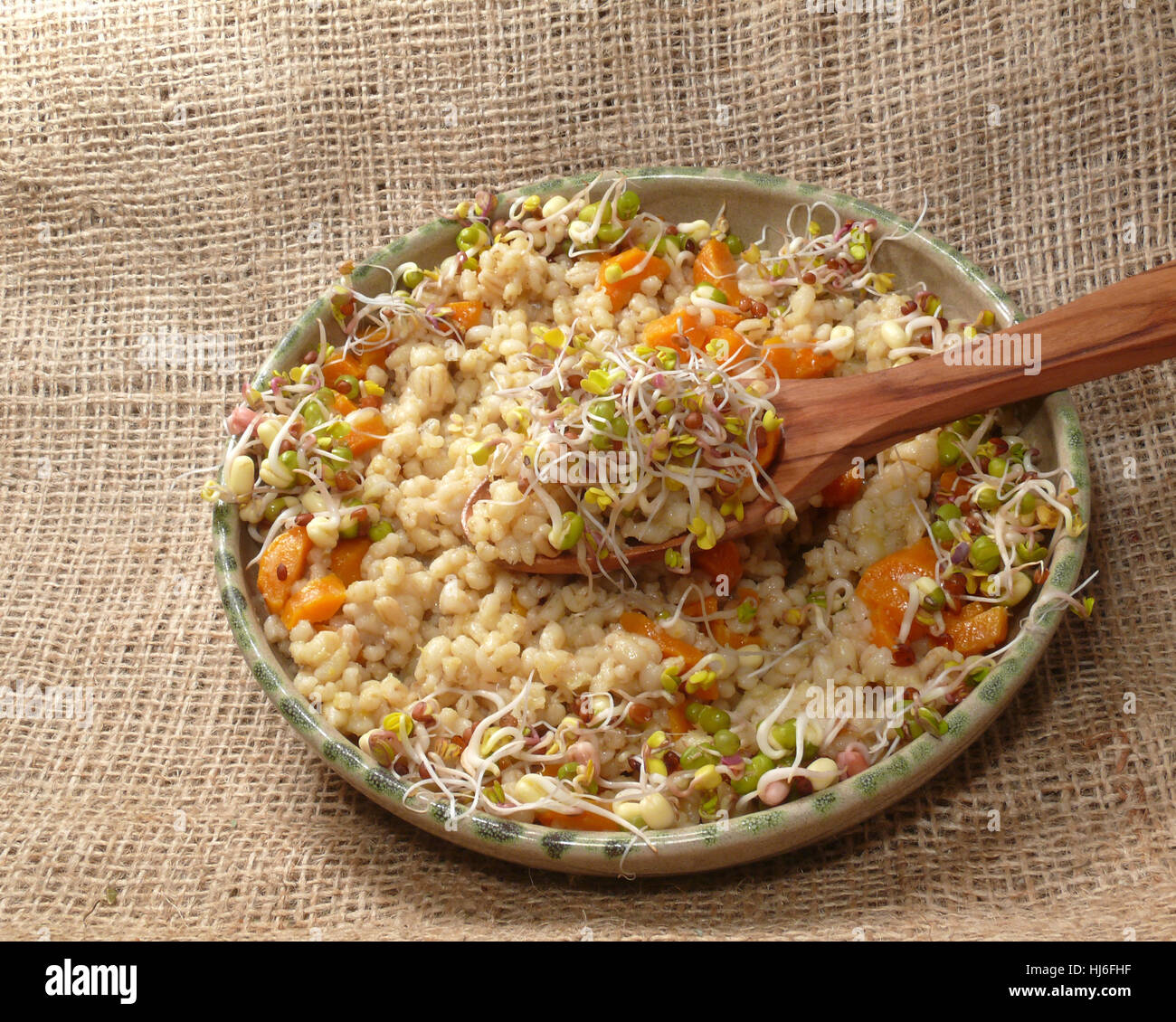 germination, barley, groats, hailstone, grain of perle barley, sprouts ...