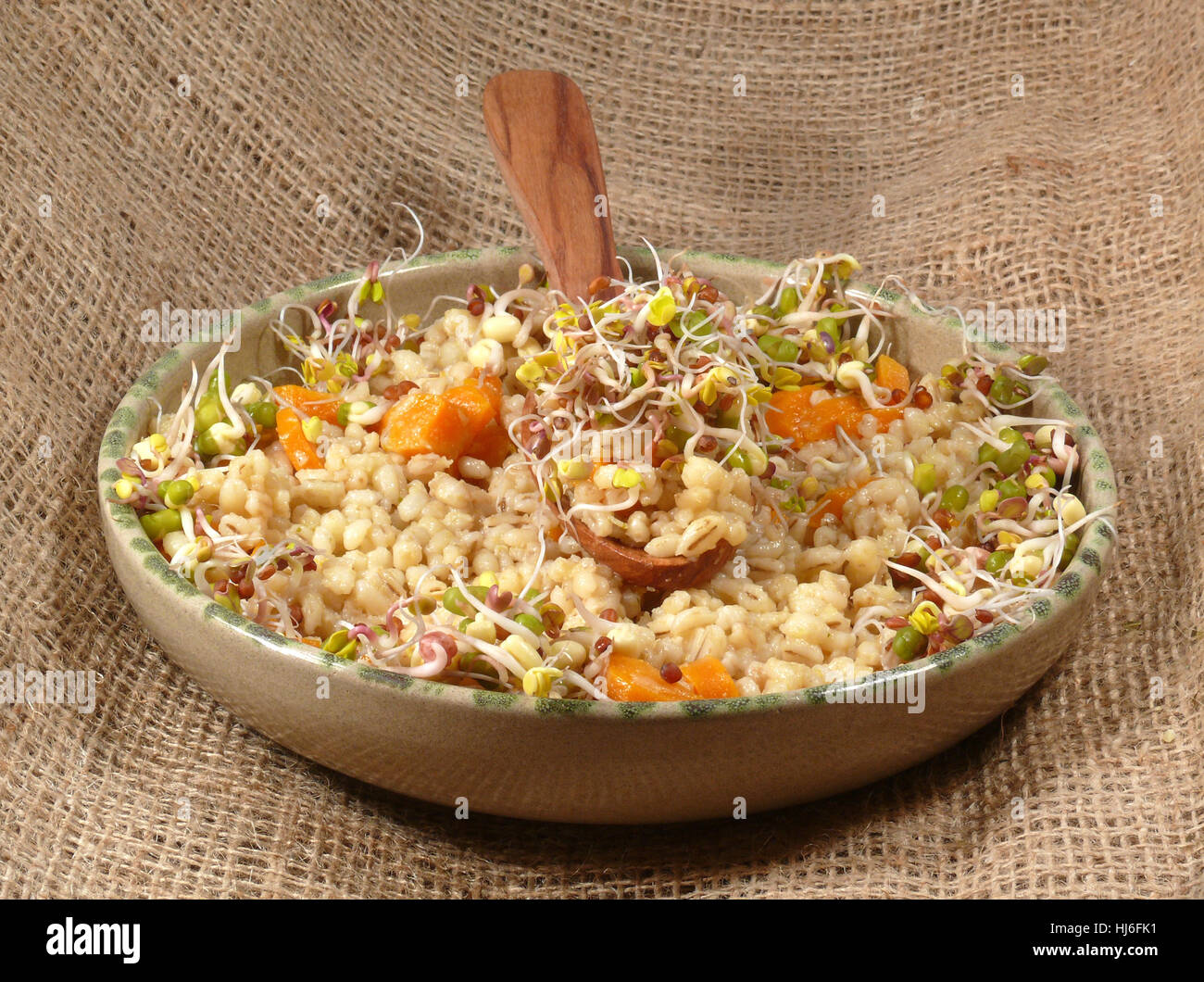 germination, barley, groats, hailstone, grain of perle barley, sprouts ...