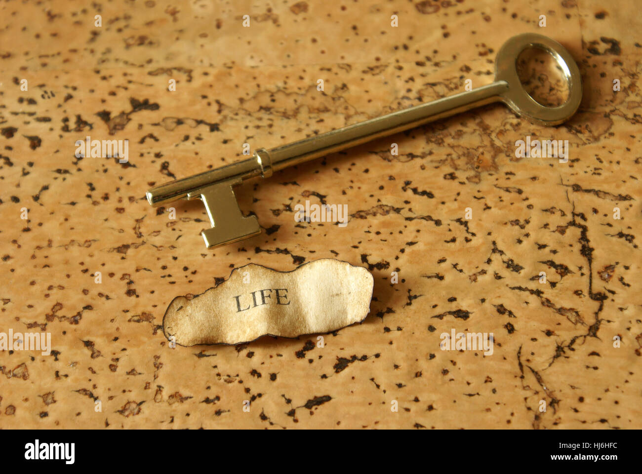 life, exist, existence, living, lives, live, model, design, project ...