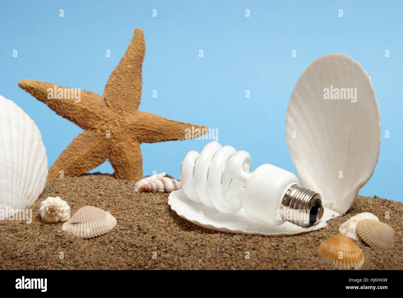An economically friendly lightbulb rests inside a seashell to represent ...