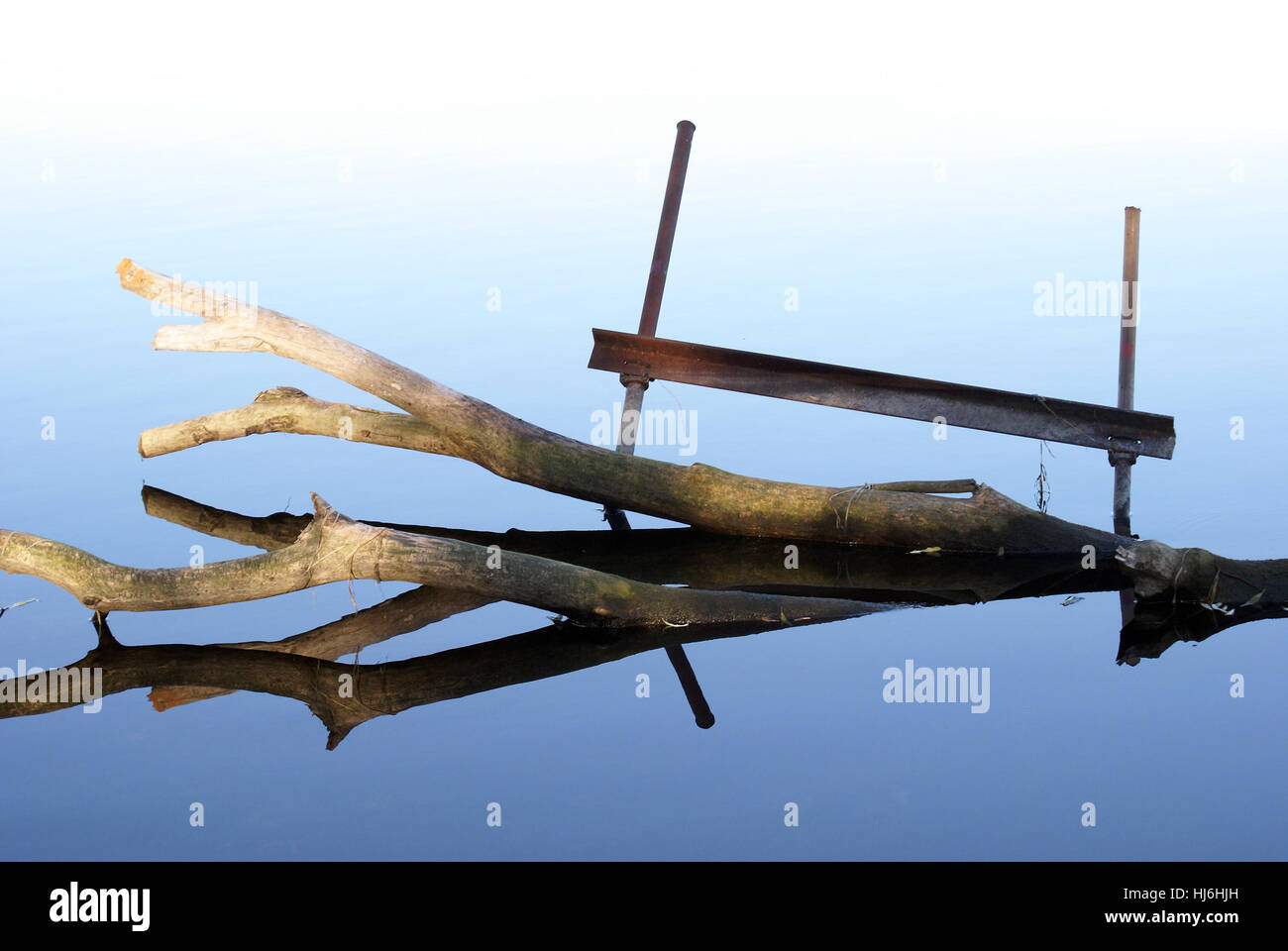 A body of water has consumed a large tree branch and a man made ...