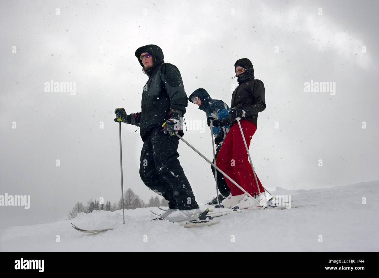Skiers in the falling snow Stock Photo - Alamy
