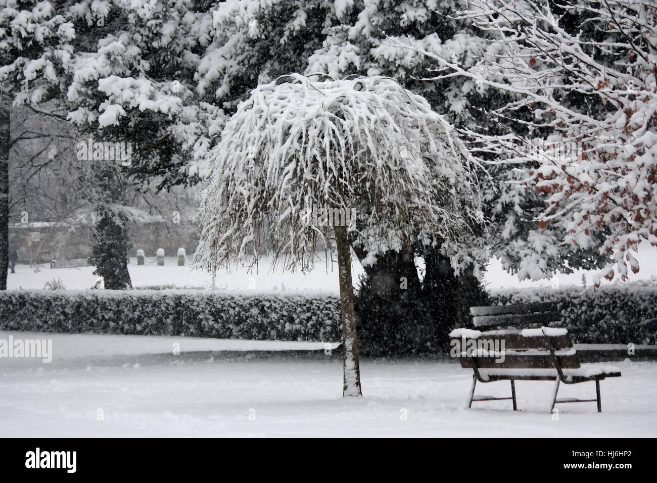 environment, enviroment, cold, field, frost, frozen, backdrop ...
