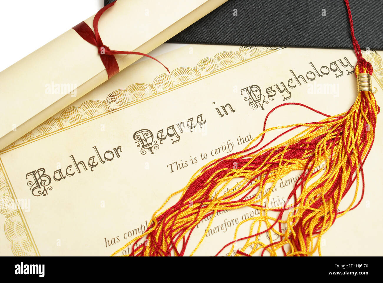 doctor, study, write, wrote, writing, writes, paper, academic work ...