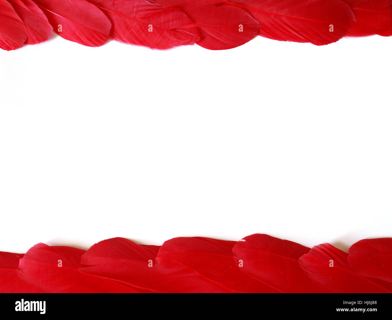 A red feather border at the top and bottom of the frame Stock Photo - Alamy
