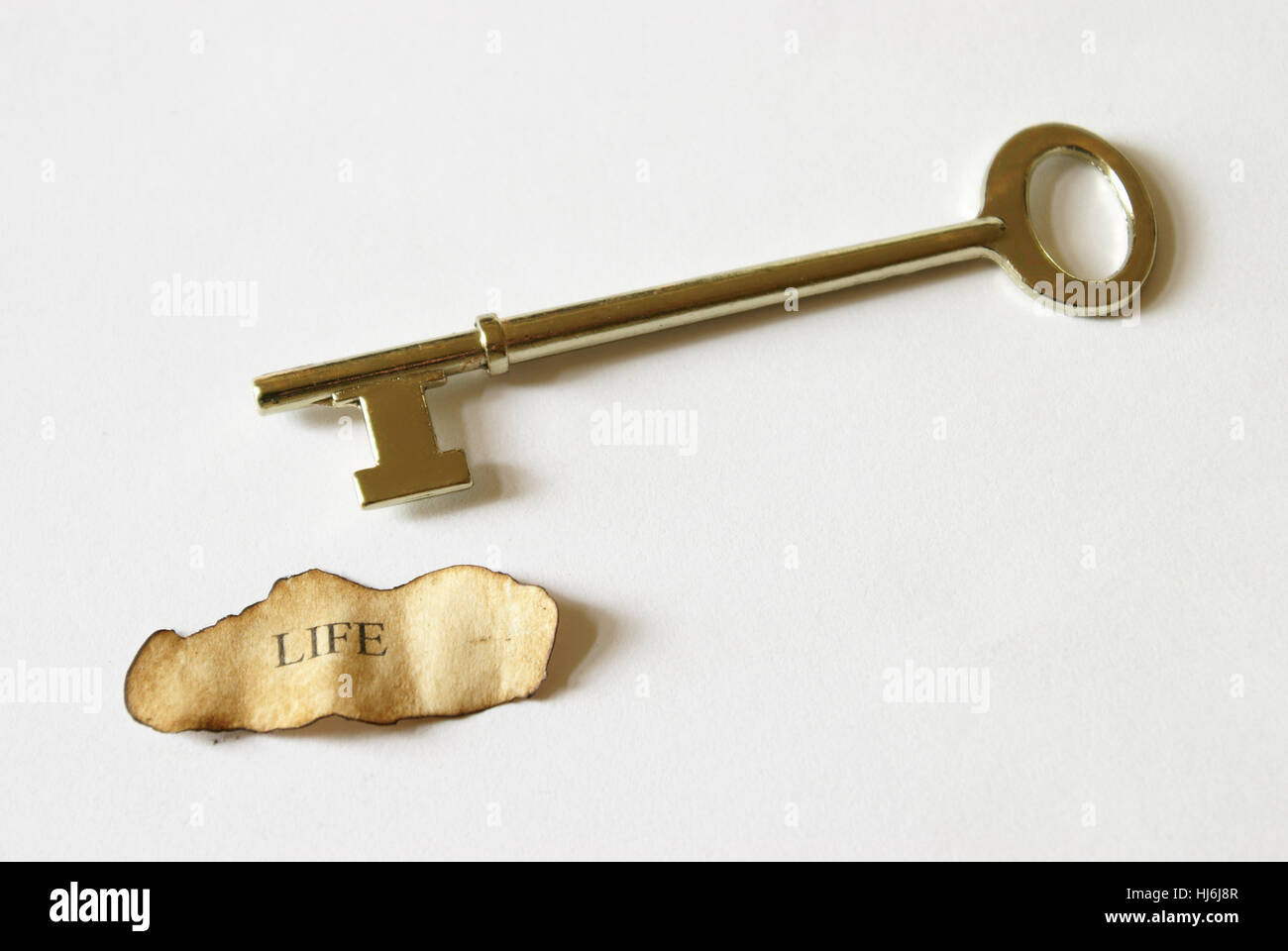 life, exist, existence, living, lives, live, model, design, project ...