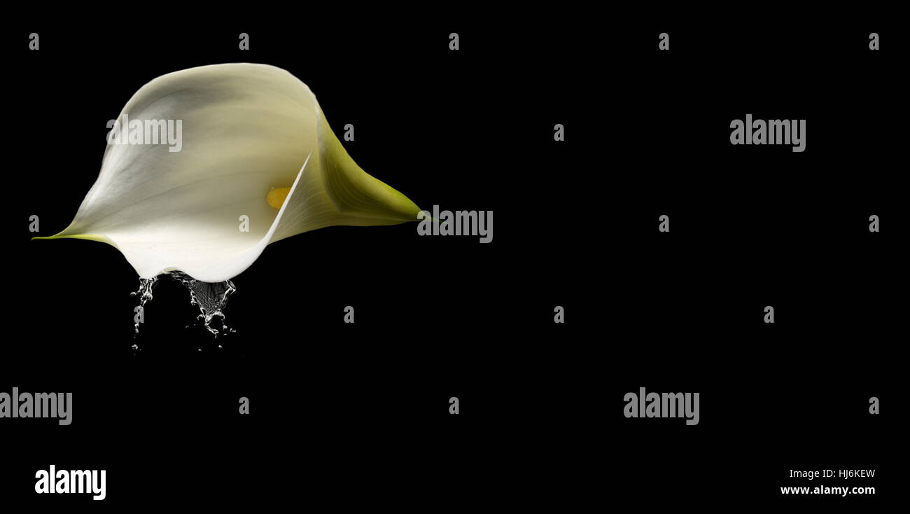 Tears pure nature hi-res stock photography and images - Alamy