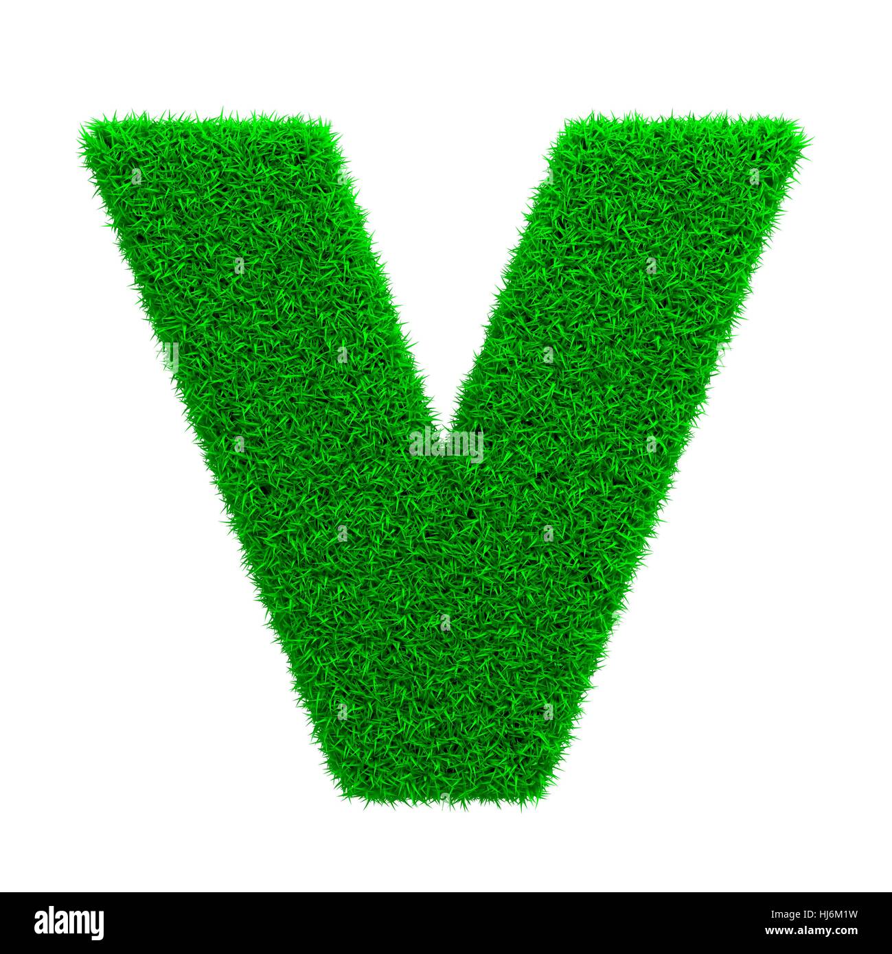 type, beautiful, beauteously, nice, model, build, environment ...