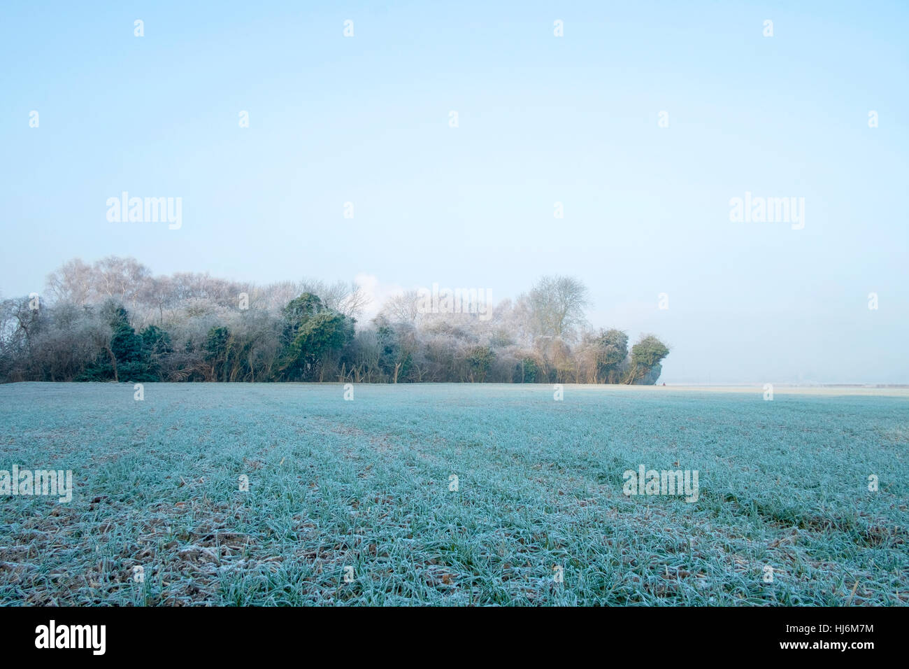 Frost on farm field hi-res stock photography and images - Alamy