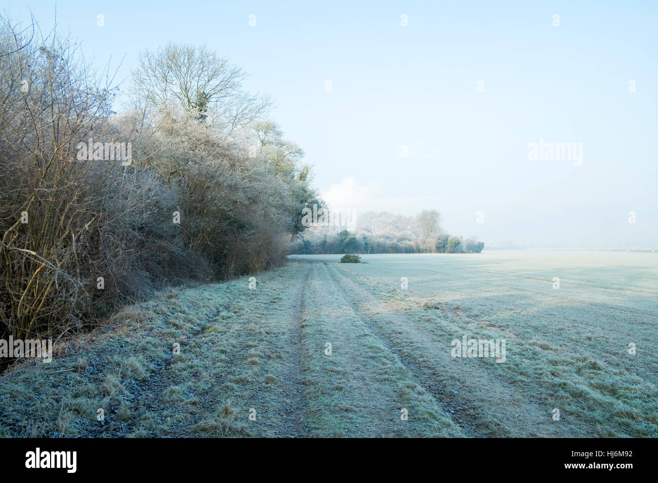 Frost on farm field hi-res stock photography and images - Alamy
