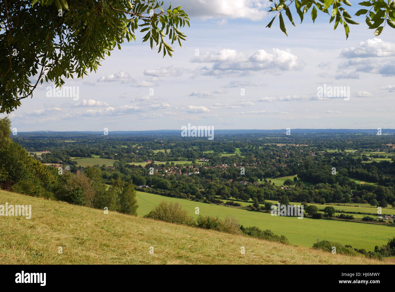 field, england, landscape, scenery, countryside, nature, tree, horizon ...