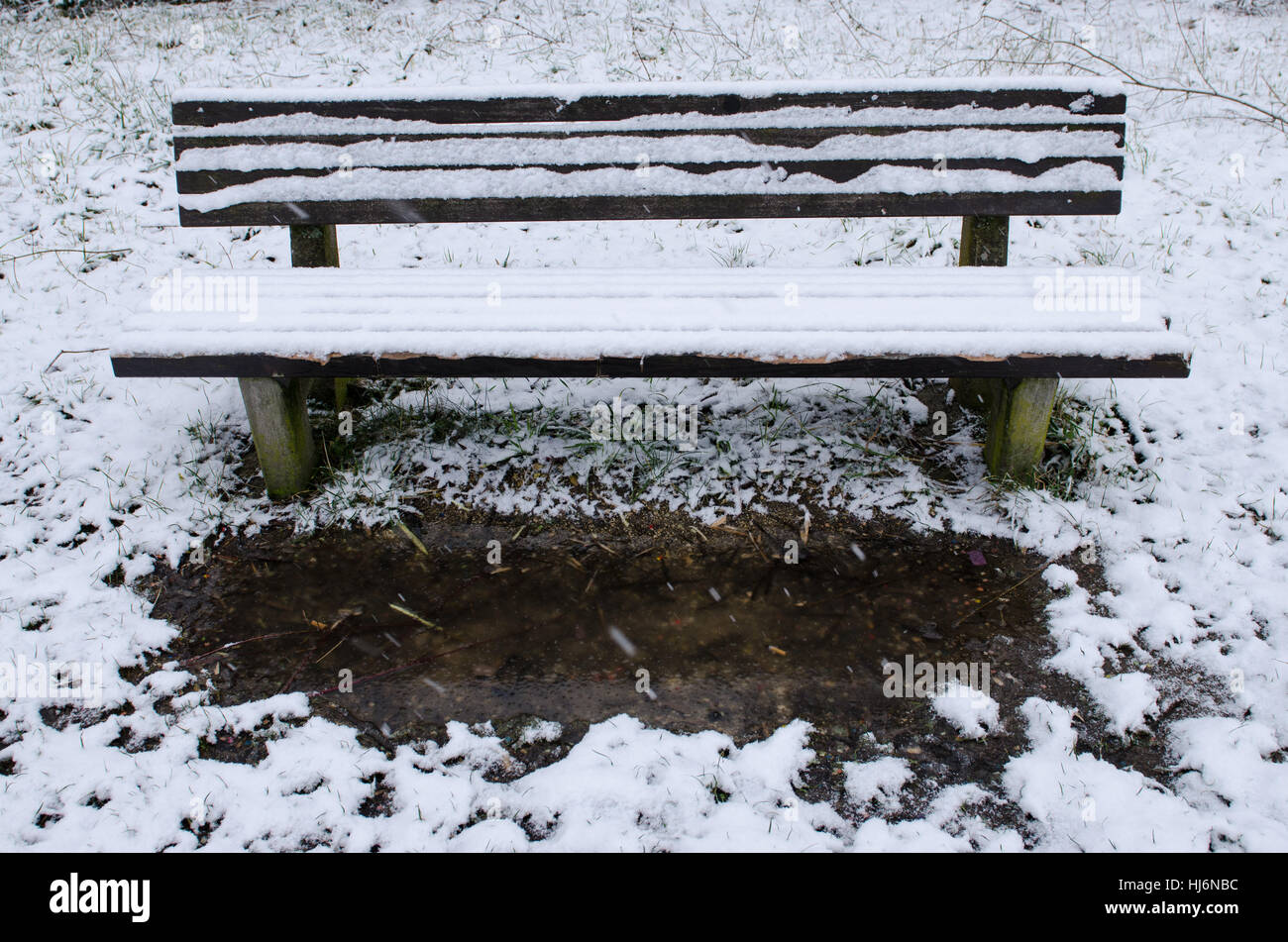 wood, cold, snowfall, puddle, seat, bench, snow, wooden bench, meadow ...