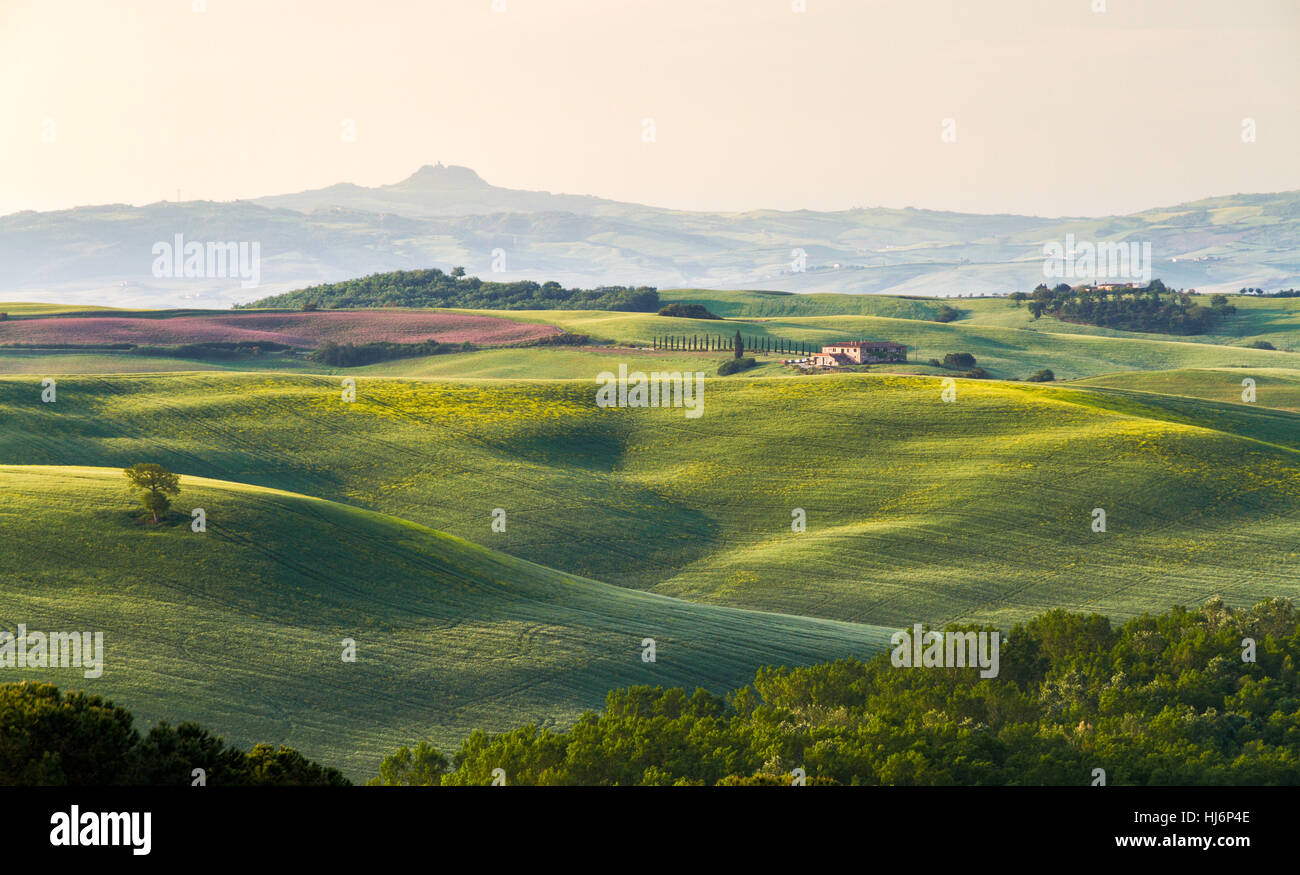 beautiful, beauteously, nice, isolated, horizon, agriculture, farming ...