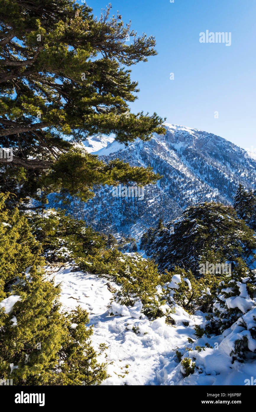 Ziria mountain covered with snow on a winter day, Korinthia, South ...