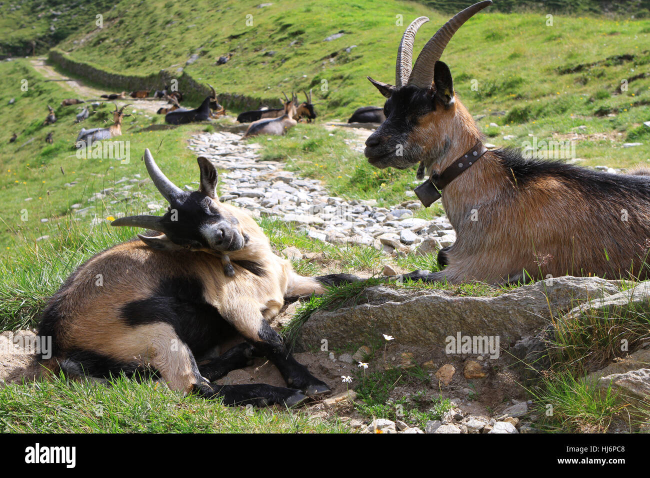 Kseproduktion hi-res stock photography and images - Alamy