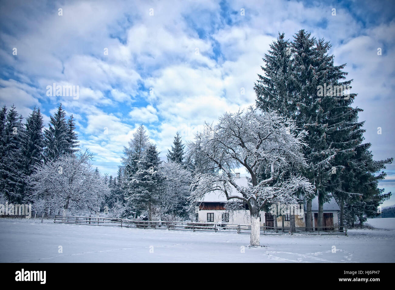 house, building, tree, winter, window, porthole, dormer window, pane ...