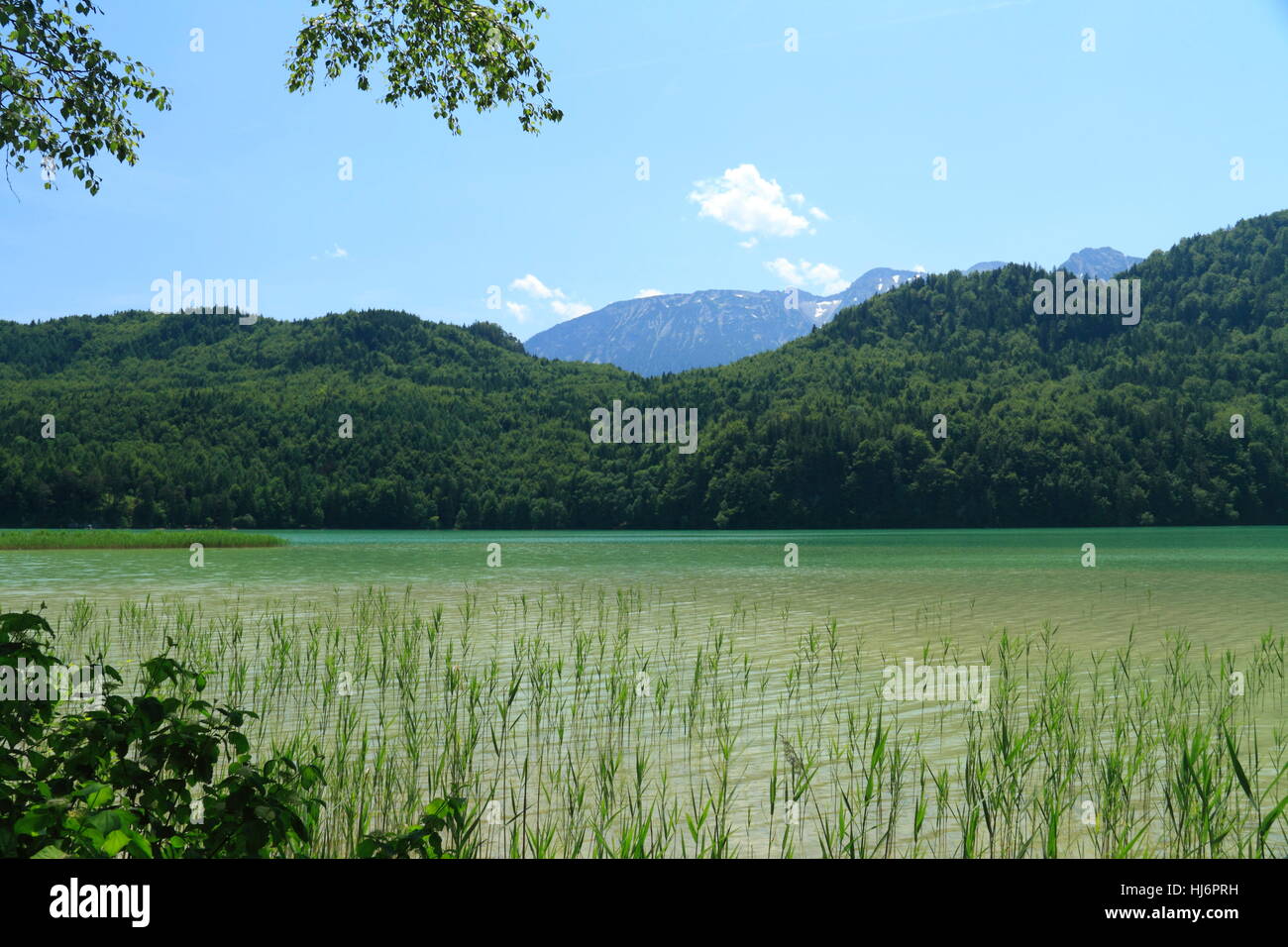 Beach weissensee hi-res stock photography and images - Alamy