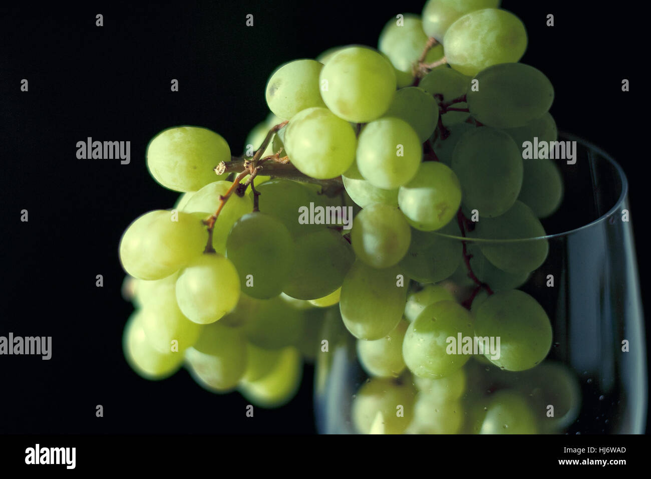 Back to our roots hi-res stock photography and images - Alamy