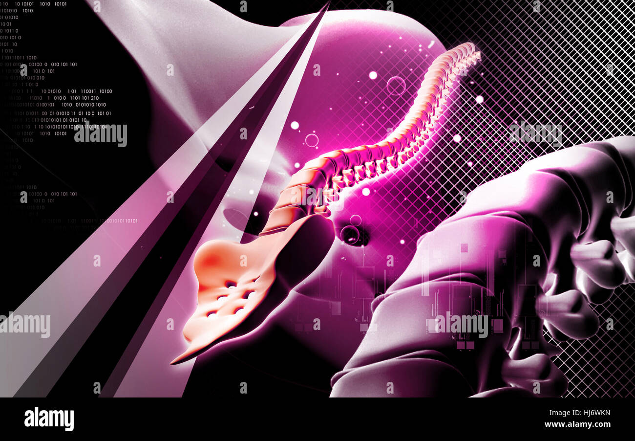 health, medicinally, medical, graphics, colour, illustration, stretch ...