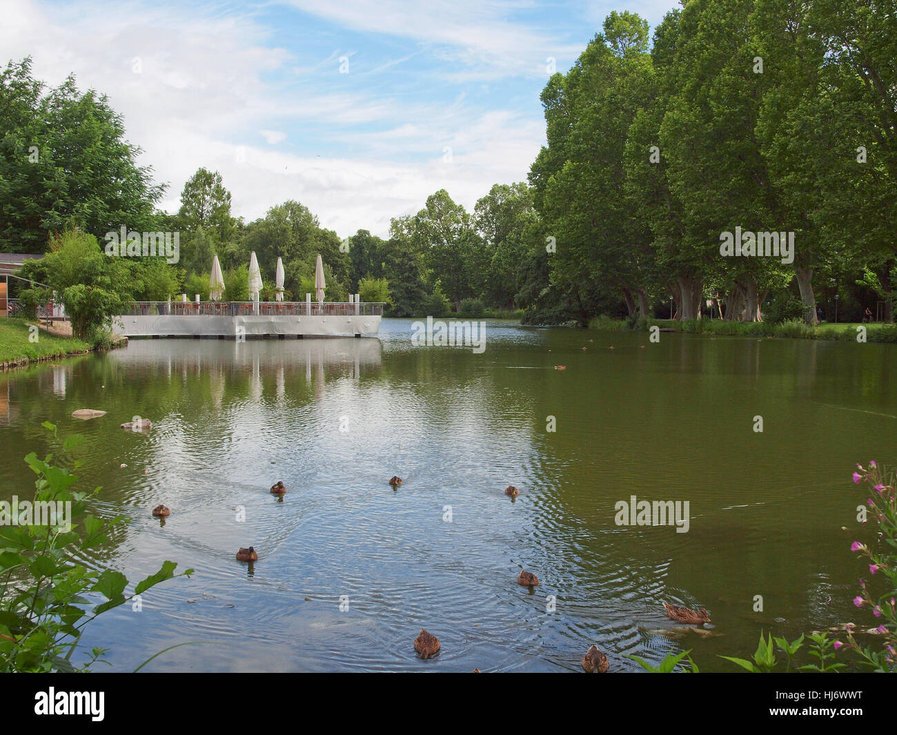 park, germany, german federal republic, stuttgart, fresh water, pond ...