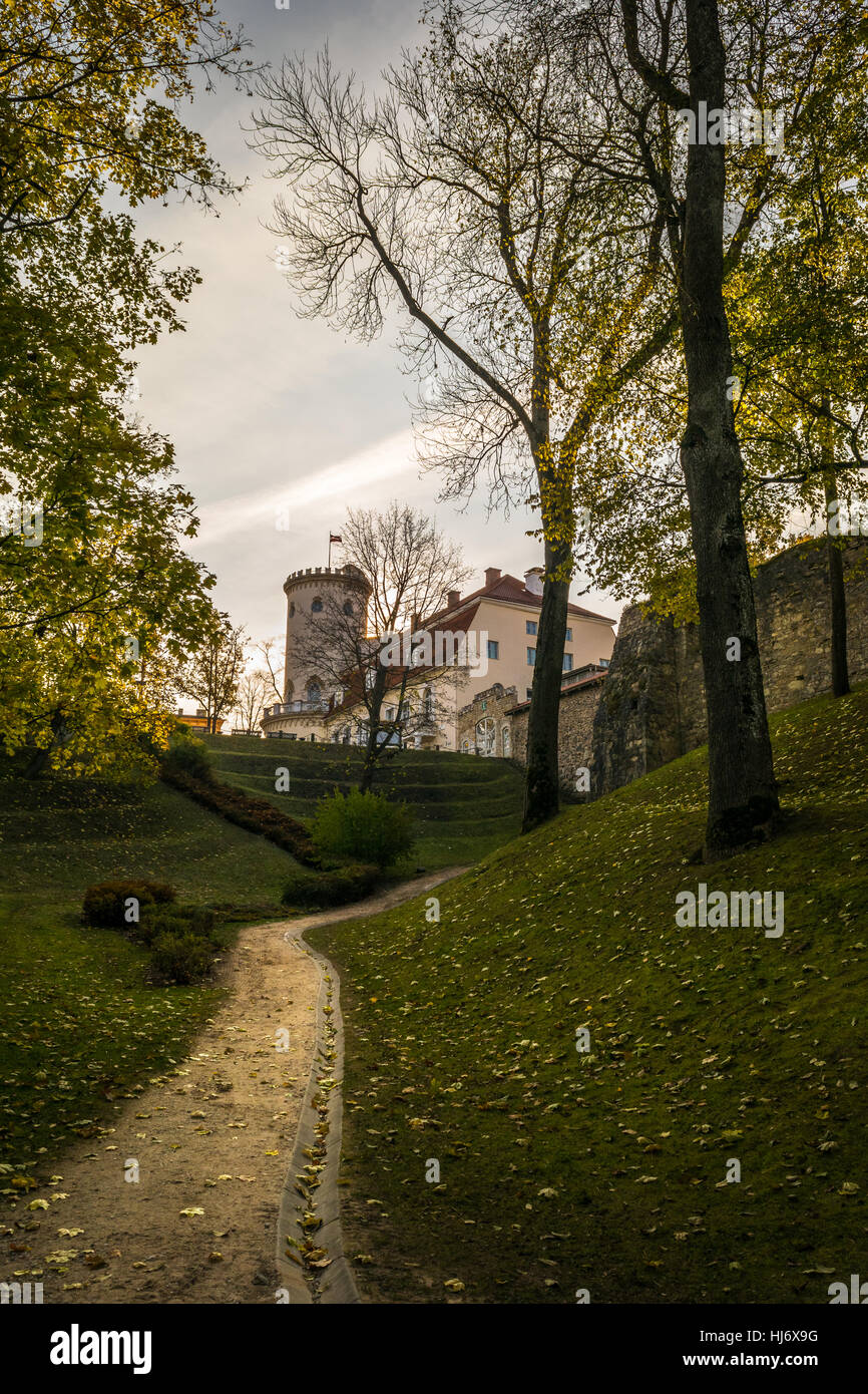 Castle ruins on castle mound in autumn photograph Stock Photo - Alamy