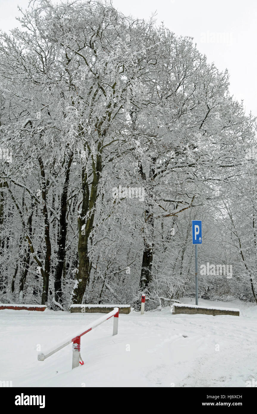 winter, cold, frost, snow, water, sign, signal, blue, tree, trees ...