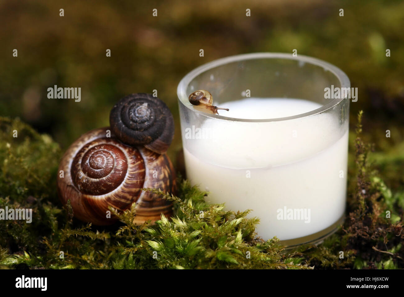 milk makes strong and smart Stock Photo - Alamy