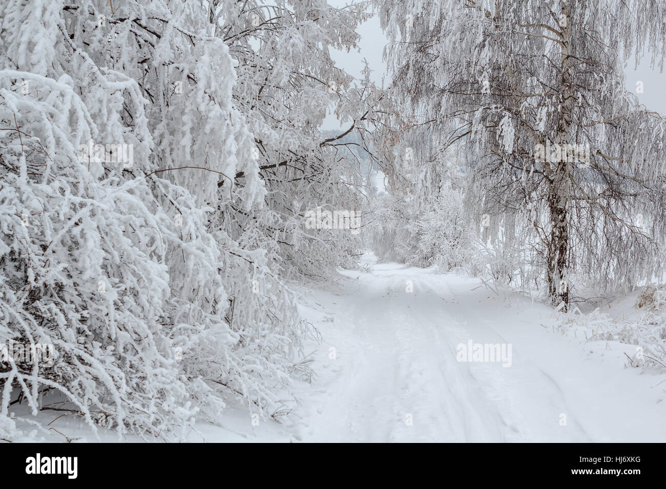 winter, snow, coke, cocaine, material, drug, anaesthetic, addictive ...