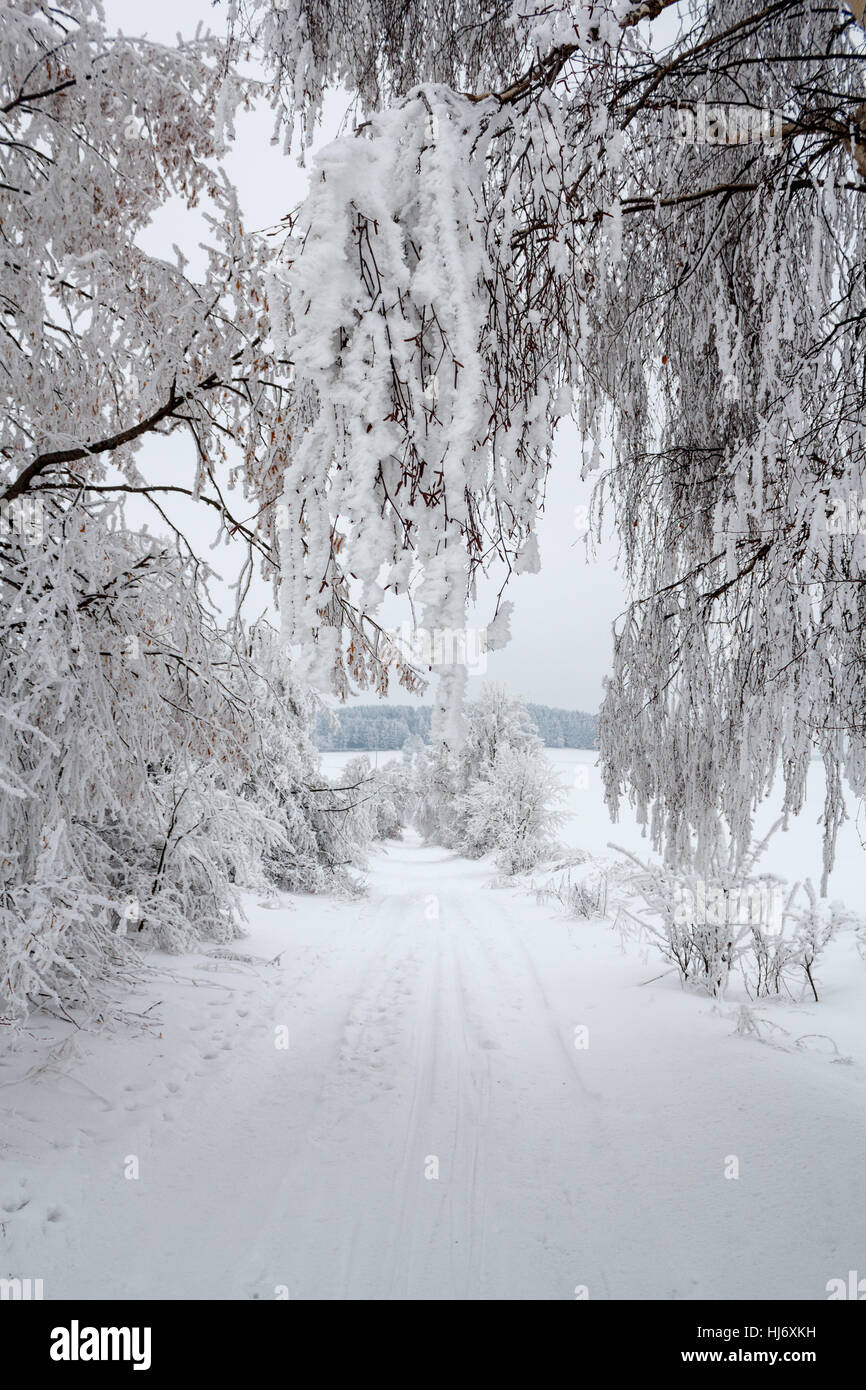 winter, snow, coke, cocaine, material, drug, anaesthetic, addictive ...