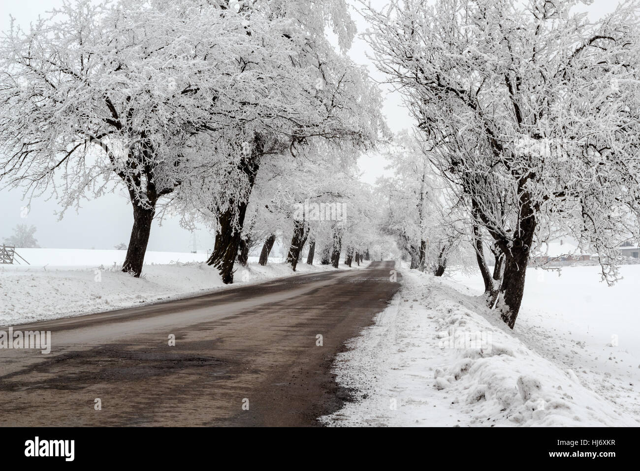 winter, snow, coke, cocaine, material, drug, anaesthetic, addictive ...
