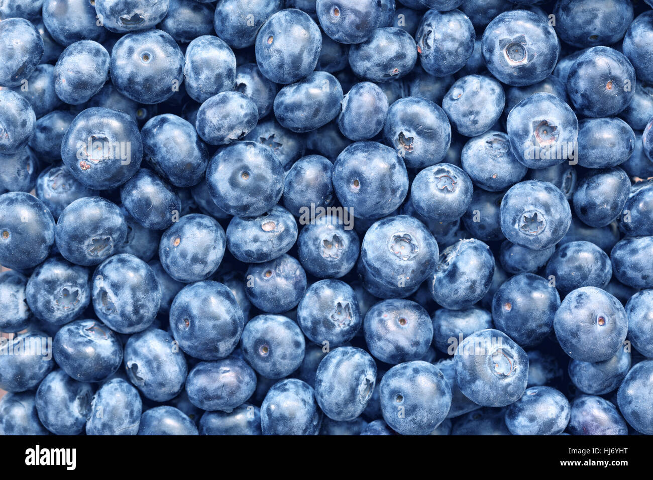 fruit, bilberries, blueberries, heap, pile, backdrop, background, many ...
