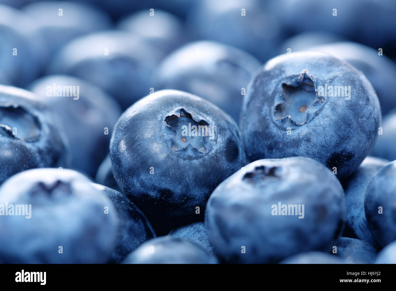 fruit, bilberries, blueberries, heap, pile, backdrop, background, many ...