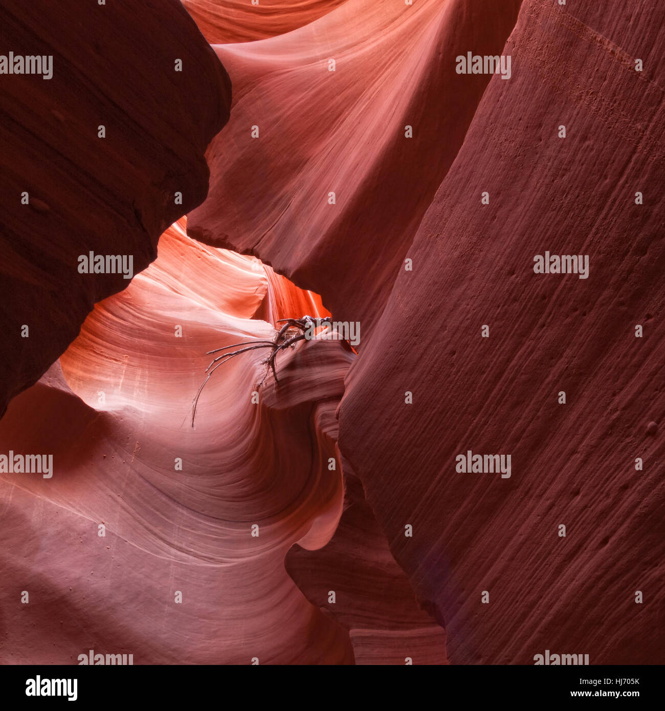 desert, wasteland, rock, america, shape, Canyon, structure, dyer ...