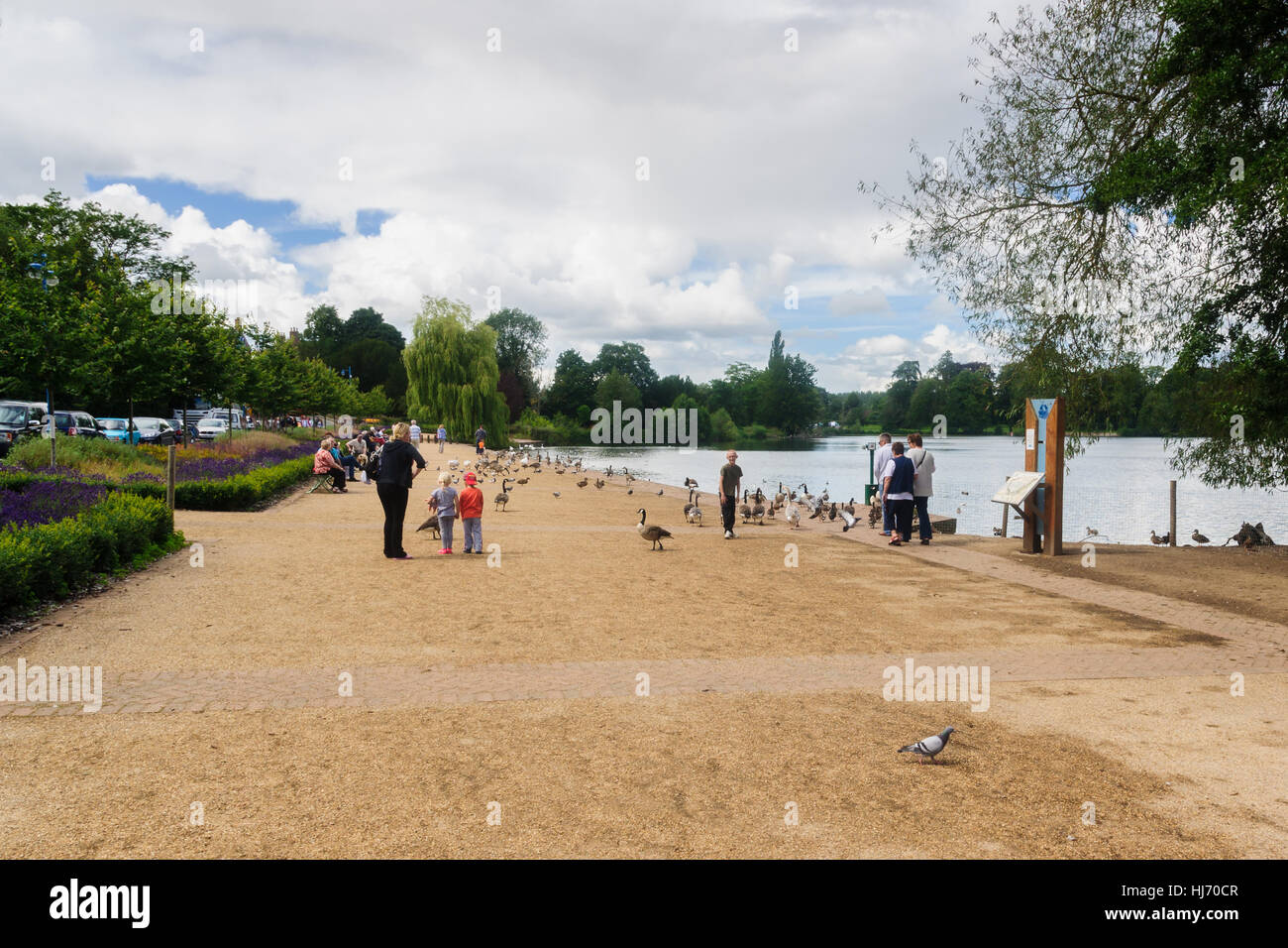 Families and tourists feeding the ducks and enjoying the views at the ...
