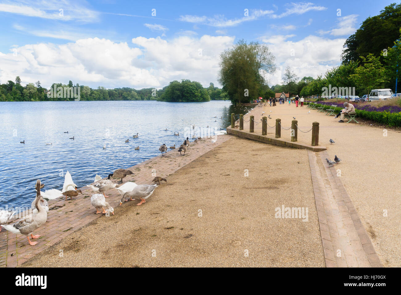 Ellesmere lake ellesmere shropshire england hi-res stock photography ...