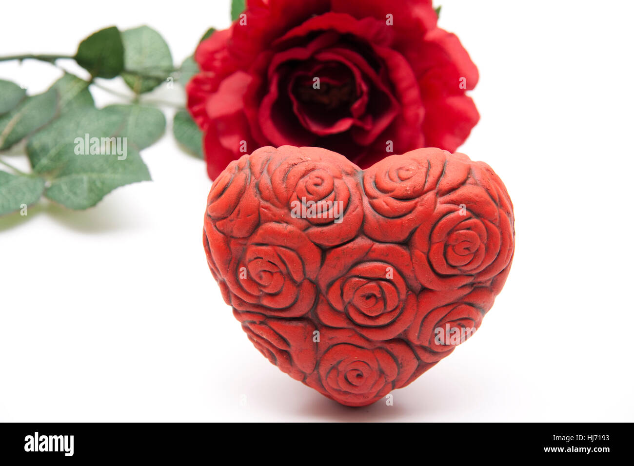 love, in love, fell in love, heart, flower, flowers, plant, blossoms ...