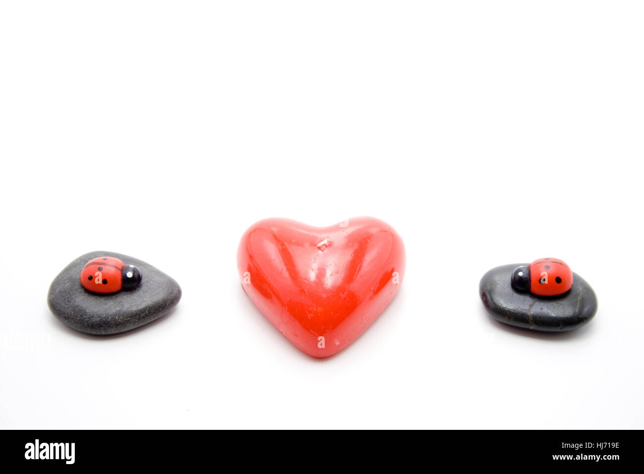 Heart beetle hi-res stock photography and images - Alamy