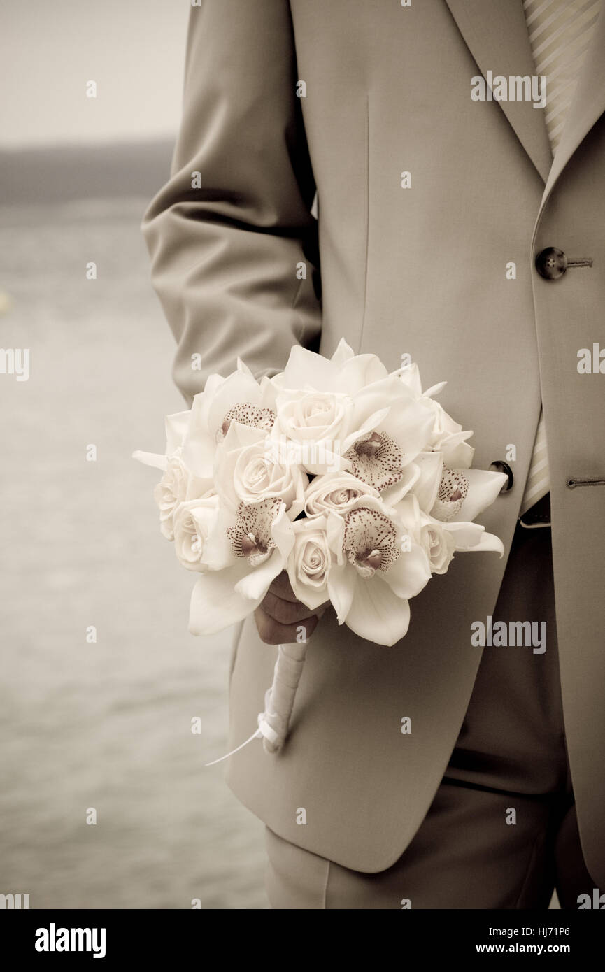 flower, plant, rose, sepia, wedding, marriage, marriage ceremony, wedding Stock Photo - Alamy