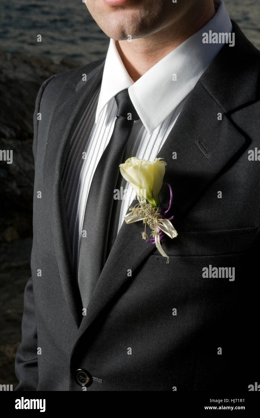 men, man, fashion, flower, plant, rose, male, masculine, wedding ...