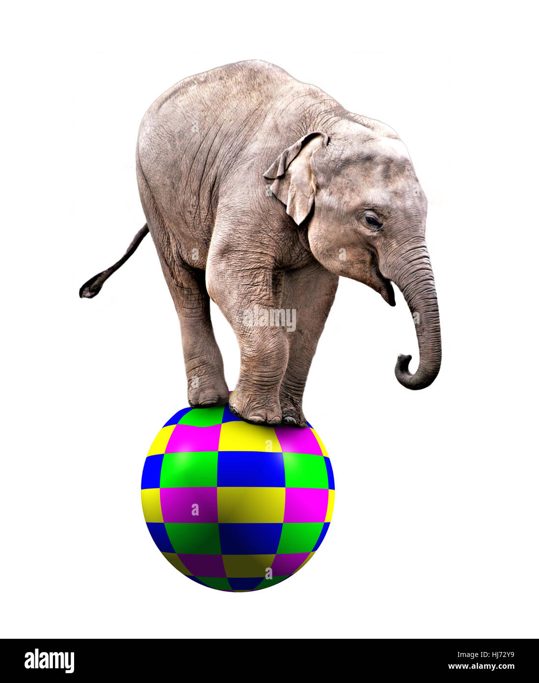 Elephant on a ball hi-res stock photography and images - Alamy