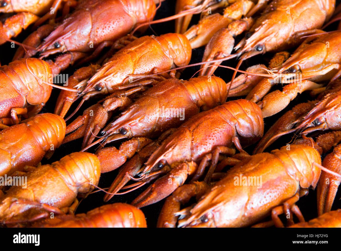 Photo of background with red boiled crawfishes Stock Photo - Alamy