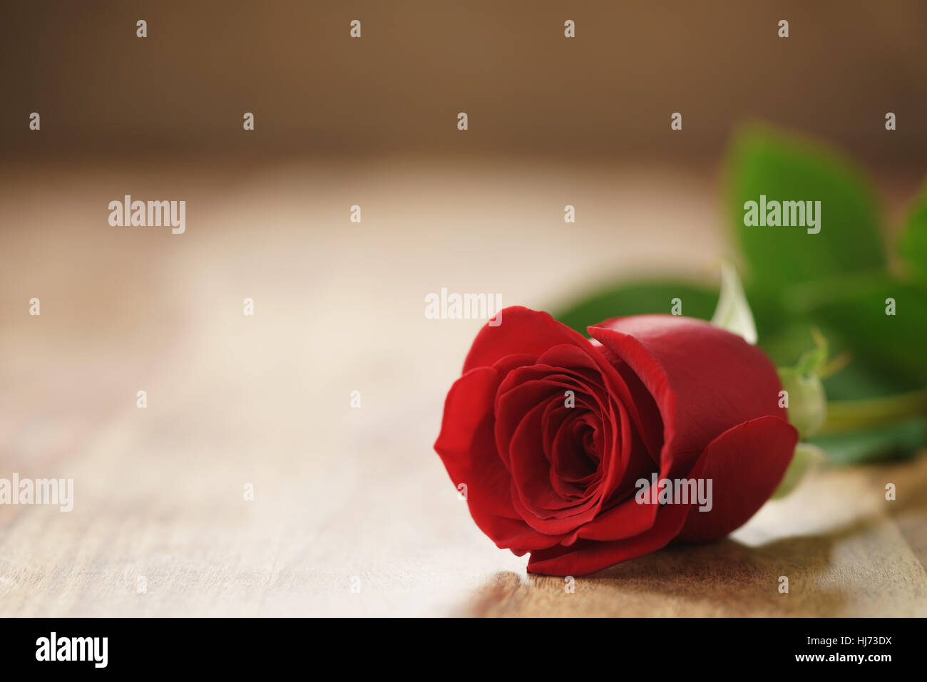 beautiful red rose on old wood table Stock Photo - Alamy