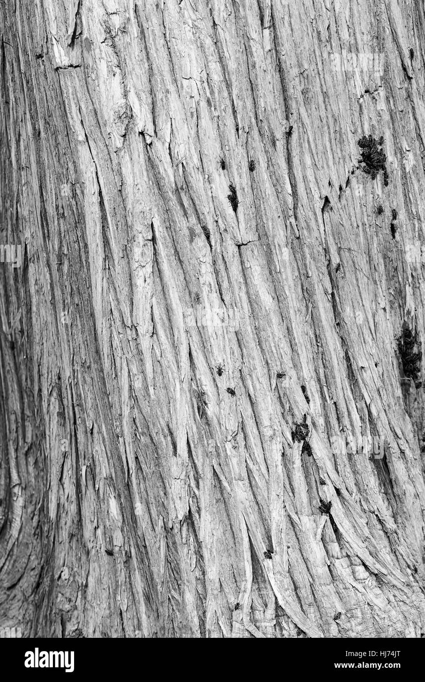 Nature note Black and White Stock Photos & Images - Alamy