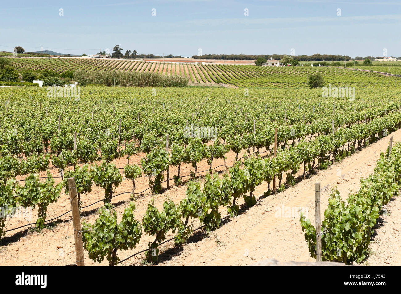 blue, house, building, agriculture, farming, field, horizontal ...