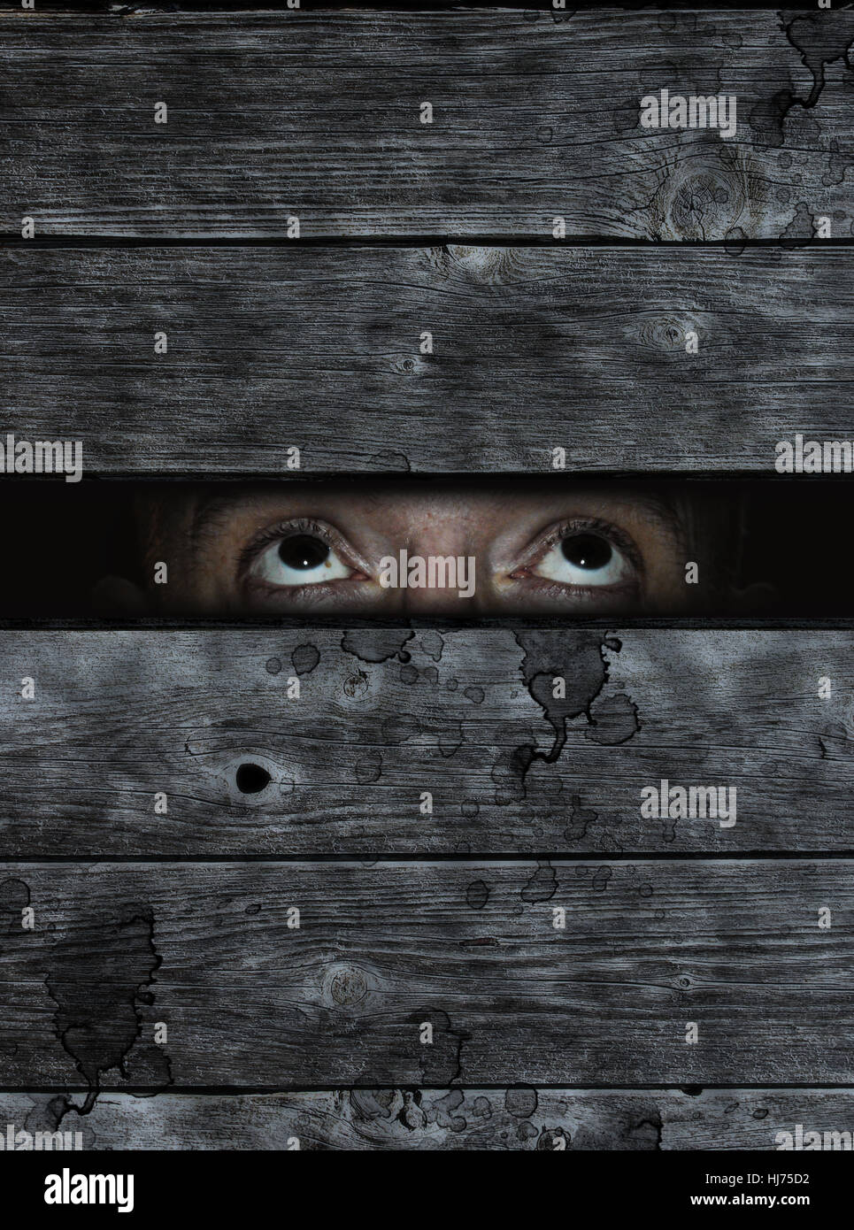 human, human being, person, eyes, look, glancing, see, view, looking ...