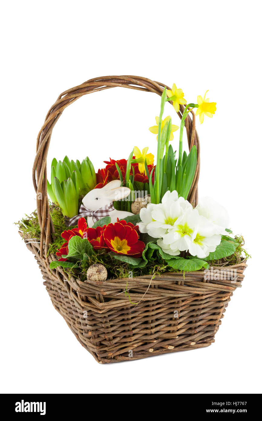 basket with spring flowers Stock Photo - Alamy