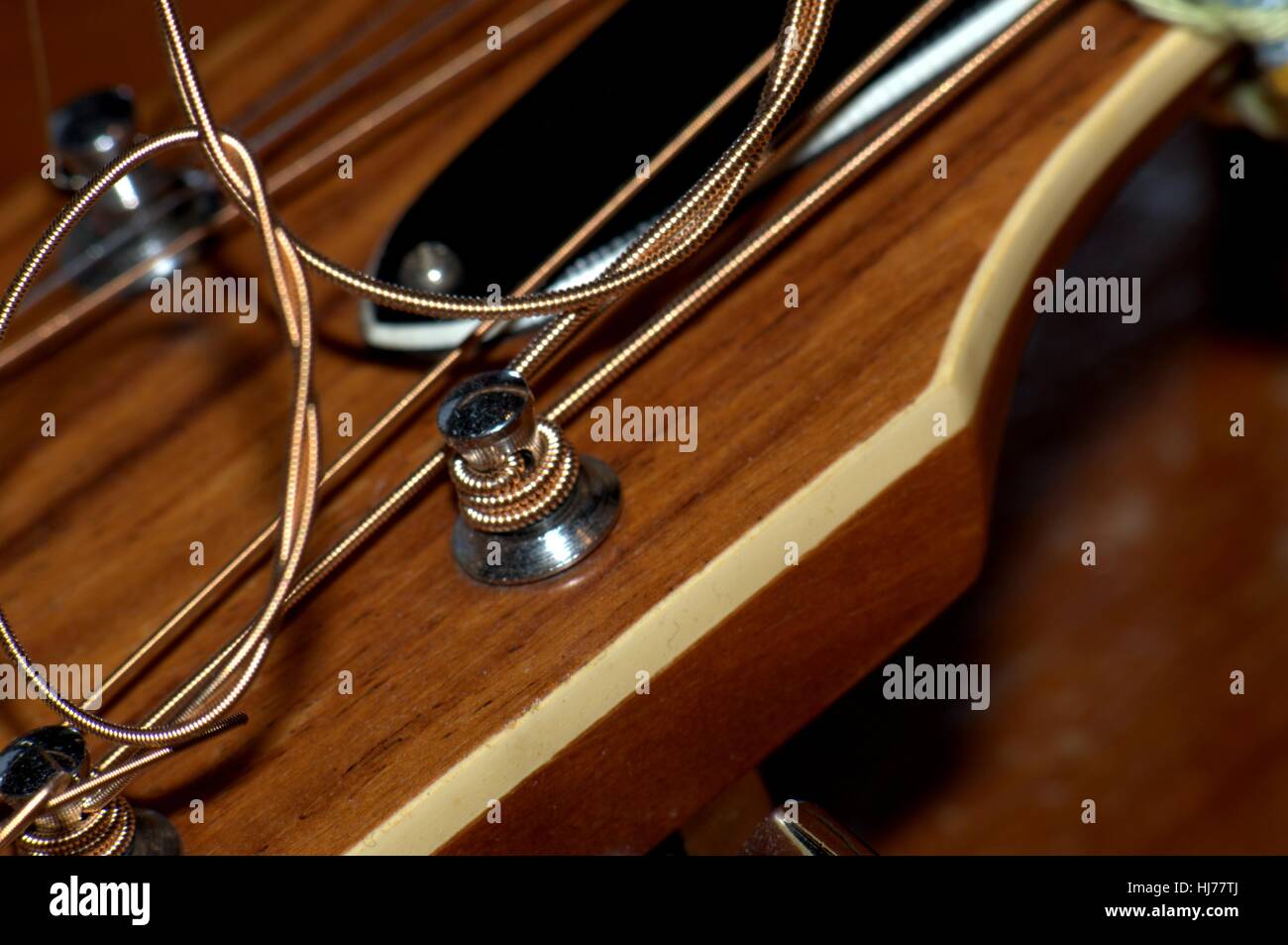 music, wood, mood, guitar, strings, mechanics, vertebra, vortex, head ...
